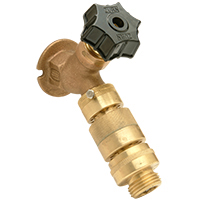 Z1341-BFP - Wall Faucet with Backflow Preventer